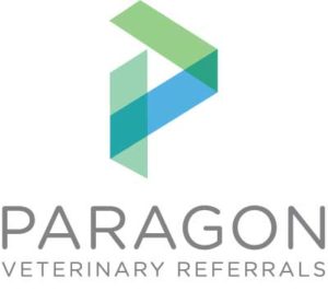 Paragon Veterinary Referrals – JTM Service